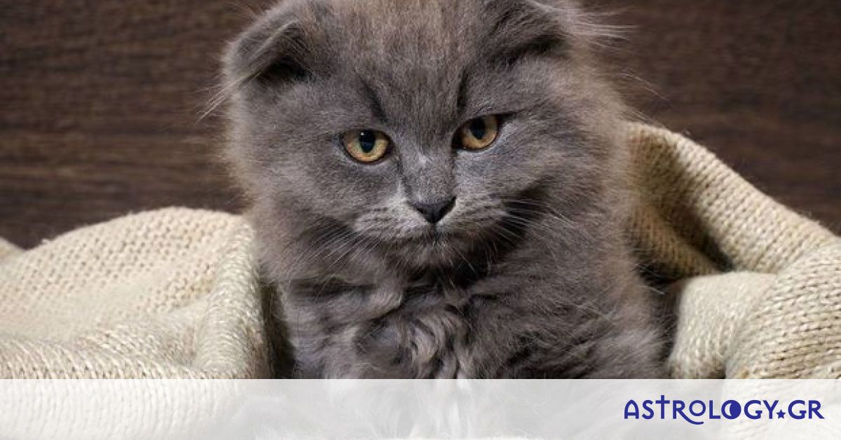 Η «σπαστική» πλευρά του κάθε ζωδίου... - Astrology.gr