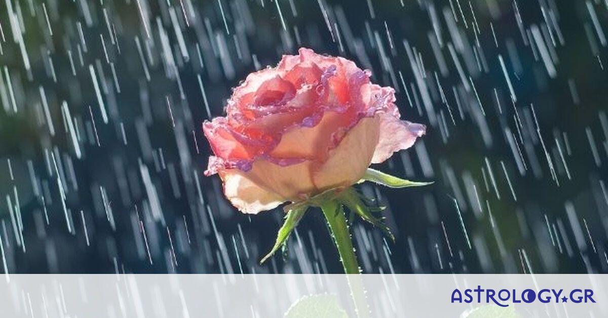 Ζώδια Σήμερα 25/09: Είναι η μέρα βροχερή... - Astrology.gr