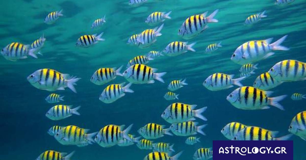 Διάβασε ΔΩΡΕΑΝ την προσωπική σου πρόβλεψη, για σήμερα 04/07/2022 ...