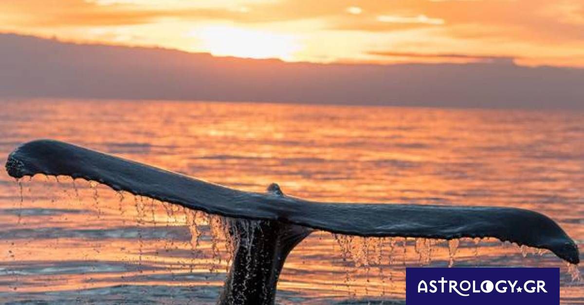 Διάβασε ΔΩΡΕΑΝ την προσωπική σου πρόβλεψη, για σήμερα 22/08/2022 ...