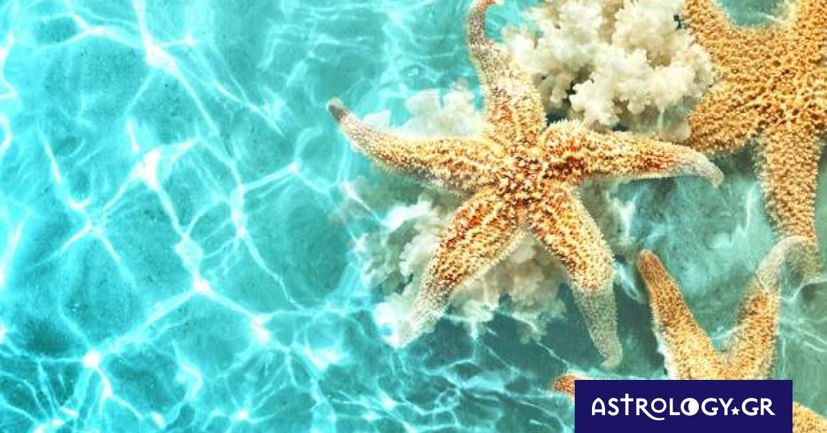 Διάβασε ΔΩΡΕΑΝ την προσωπική σου πρόβλεψη, για σήμερα 24/08/2022 ...