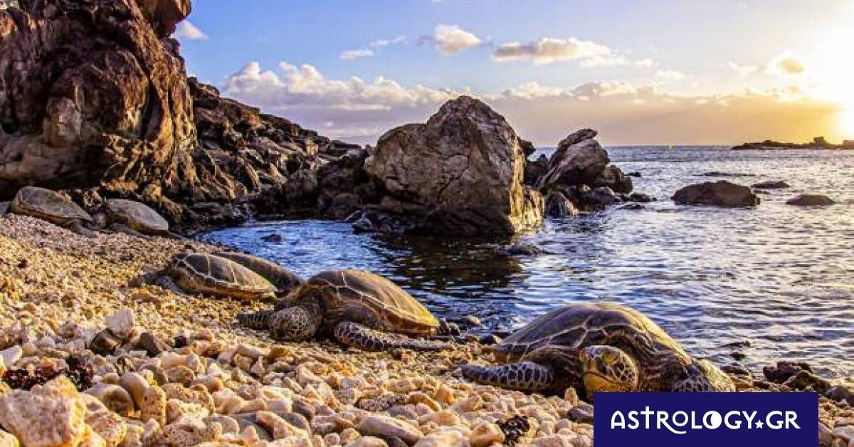 Διάβασε ΔΩΡΕΑΝ την προσωπική σου πρόβλεψη, για σήμερα 27/08/2022 ...