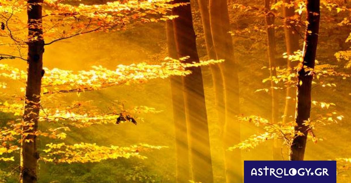 Διάβασε ΔΩΡΕΑΝ την προσωπική σου πρόβλεψη, για σήμερα 02/09/2022 ...