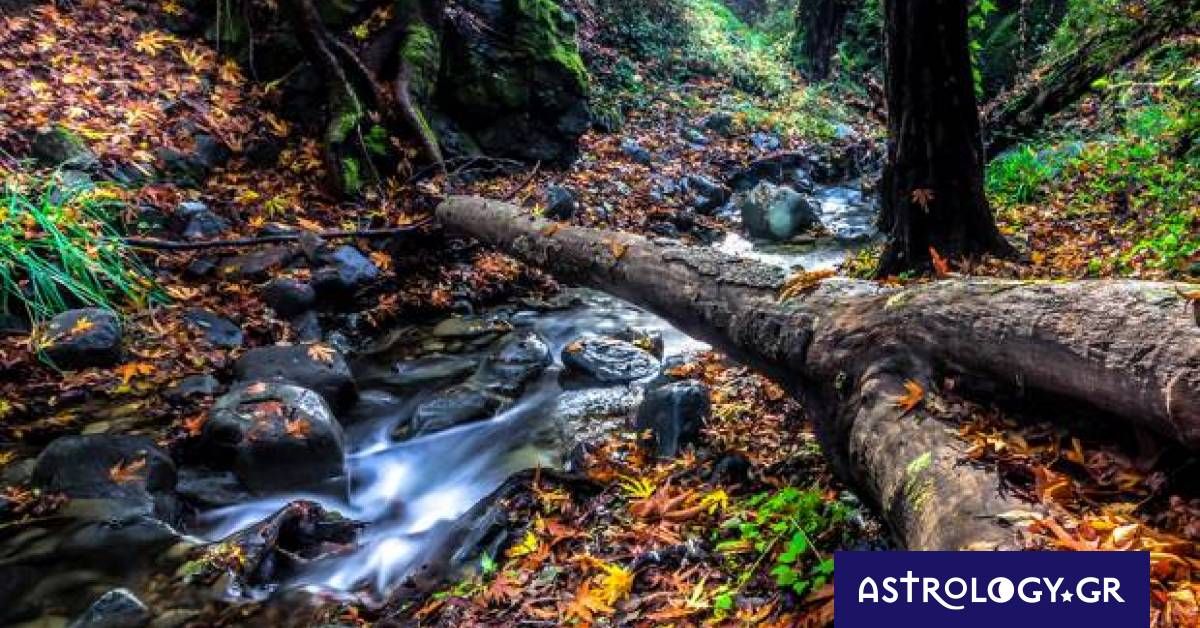 Διάβασε ΔΩΡΕΑΝ την προσωπική σου πρόβλεψη, για σήμερα 08/09/2022 ...