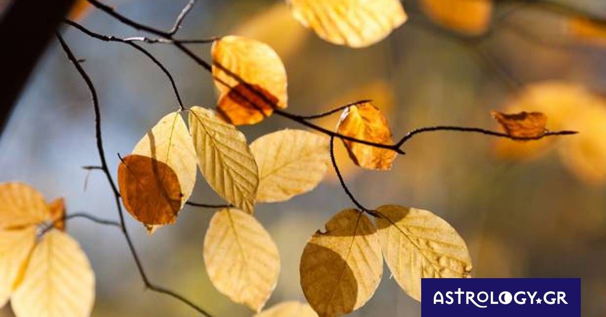 Διάβασε ΔΩΡΕΑΝ την προσωπική σου πρόβλεψη, για σήμερα 10/09/2022 ...