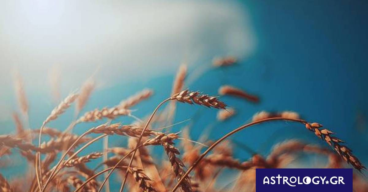 Διάβασε ΔΩΡΕΑΝ την προσωπική σου πρόβλεψη, για σήμερα 12/09/2022 ...