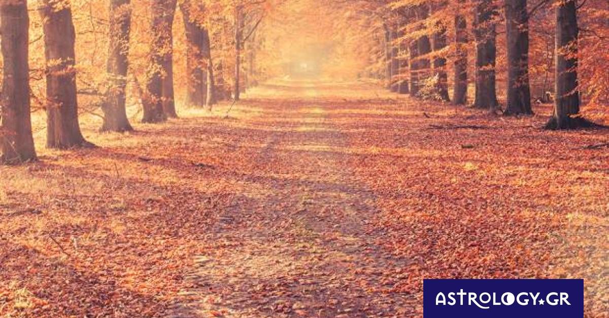 Διάβασε ΔΩΡΕΑΝ την προσωπική σου πρόβλεψη, για σήμερα 08/10/2022 ...