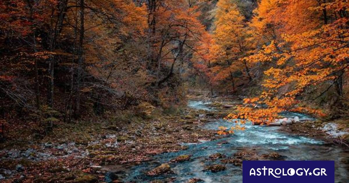 Διάβασε ΔΩΡΕΑΝ την προσωπική σου πρόβλεψη, για σήμερα 20/10/2022 ...