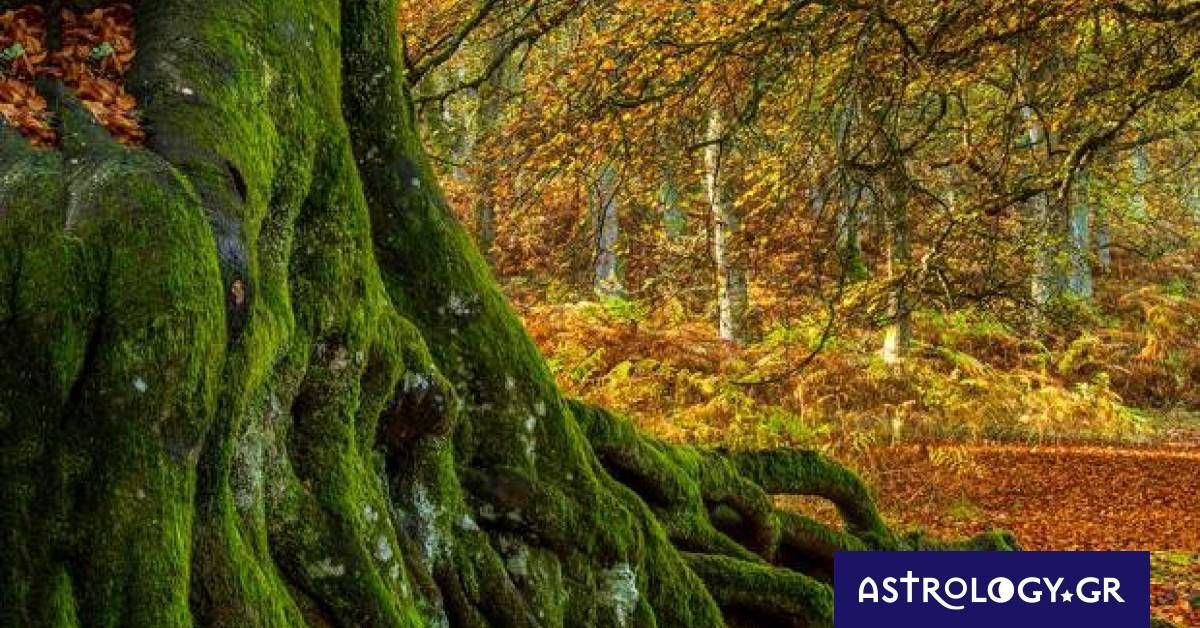 Διάβασε ΔΩΡΕΑΝ την προσωπική σου πρόβλεψη, για σήμερα 25/10/2022 ...