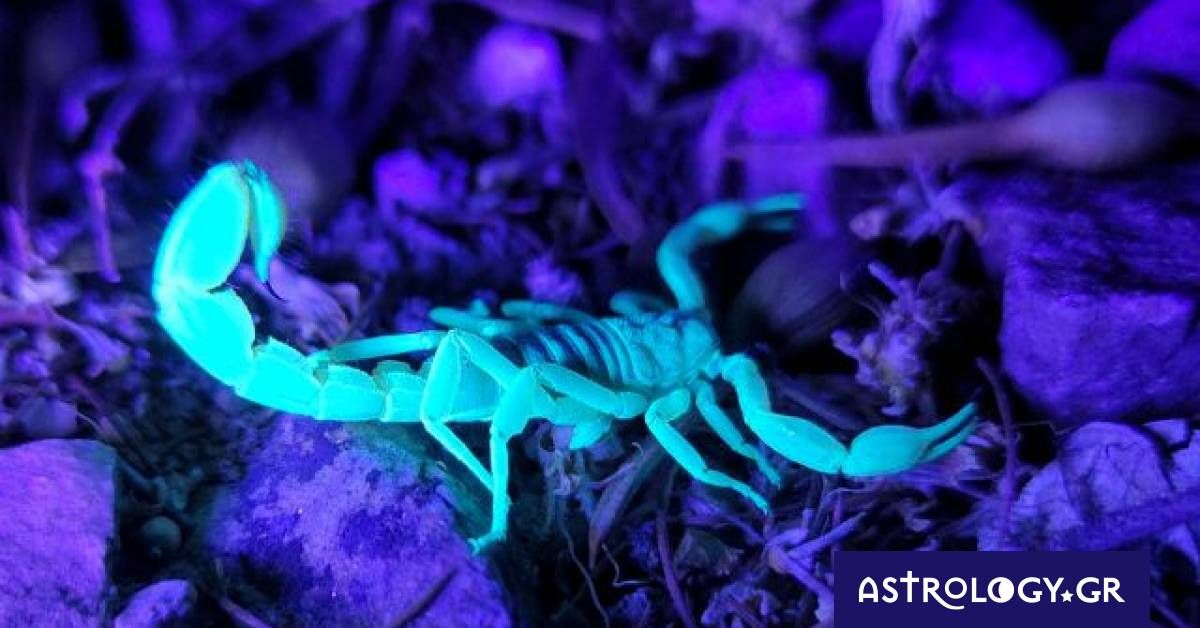 Πέντε θετικά χαρακτηριστικά του Σκορπιού - Astrology.gr