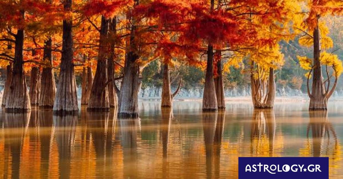 Διάβασε ΔΩΡΕΑΝ την προσωπική σου πρόβλεψη, για σήμερα 27/10/2022 ...