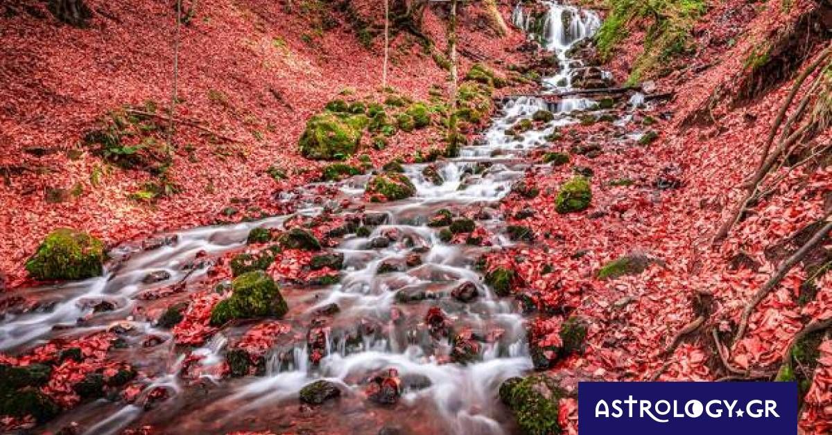 Διάβασε ΔΩΡΕΑΝ την προσωπική σου πρόβλεψη, για σήμερα 02/11/2022 ...