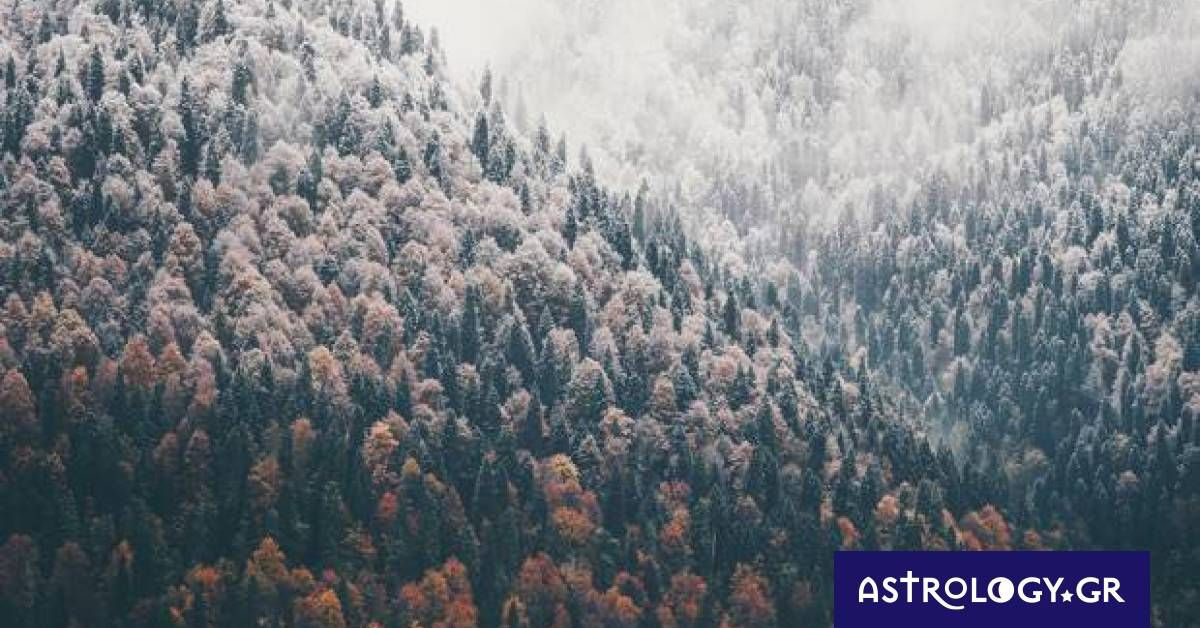 Διάβασε ΔΩΡΕΑΝ την προσωπική σου πρόβλεψη, για σήμερα 24/11/2022 ...