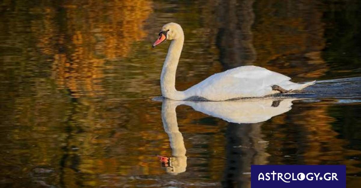 Διάβασε ΔΩΡΕΑΝ την προσωπική σου πρόβλεψη, για σήμερα 27/11/2022 ...