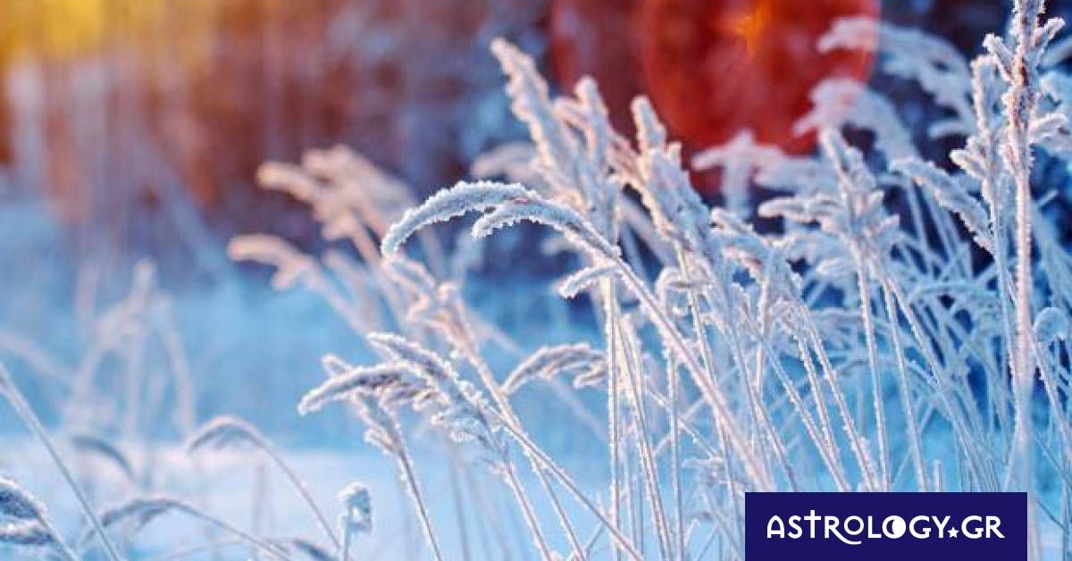Διάβασε ΔΩΡΕΑΝ την προσωπική σου πρόβλεψη, για σήμερα 02/12/2022 ...
