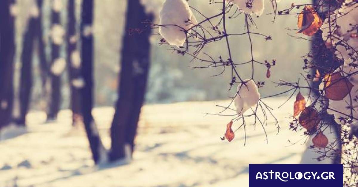 Διάβασε ΔΩΡΕΑΝ την προσωπική σου πρόβλεψη, για σήμερα 10/12/2022 ...