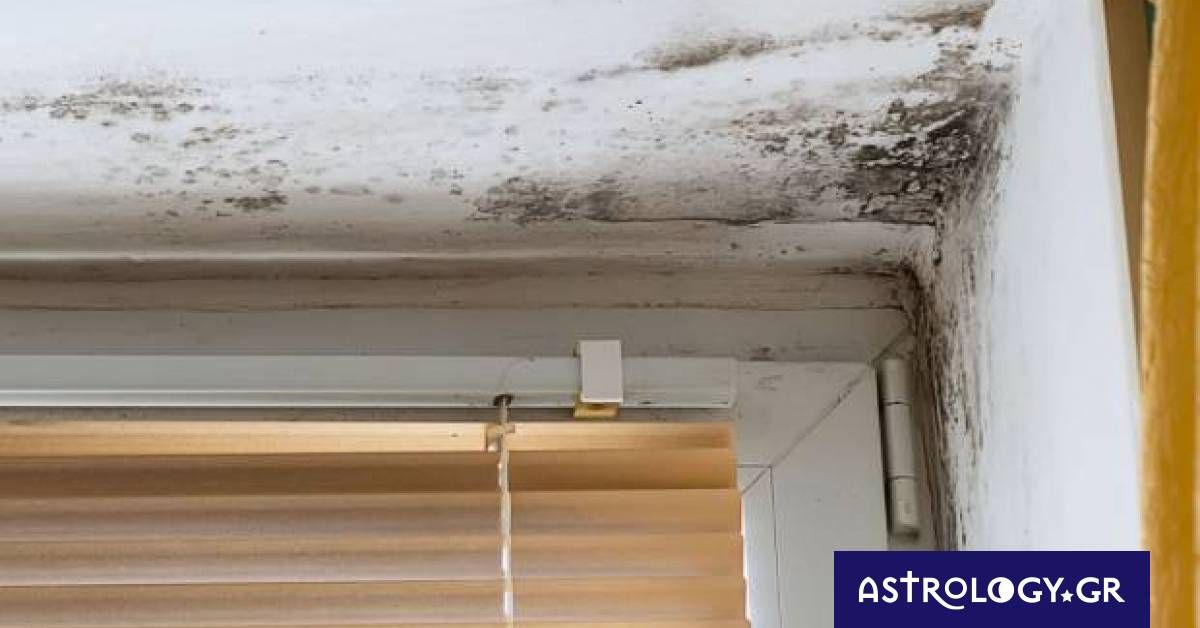 Αλλεργία στη μούχλα: Τα συμπτώματα και τι μπορείτε να κάνετε - Astrology.gr