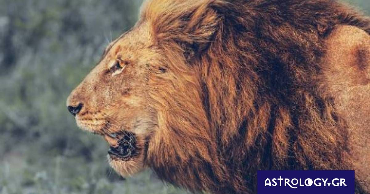 Άρης στον Λέοντα: Ρίξε μια ζαριά καλή! - Astrology.gr