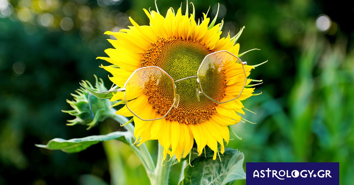 Ζώδια Σήμερα 01/07: Με το δεξί - Astrology.gr