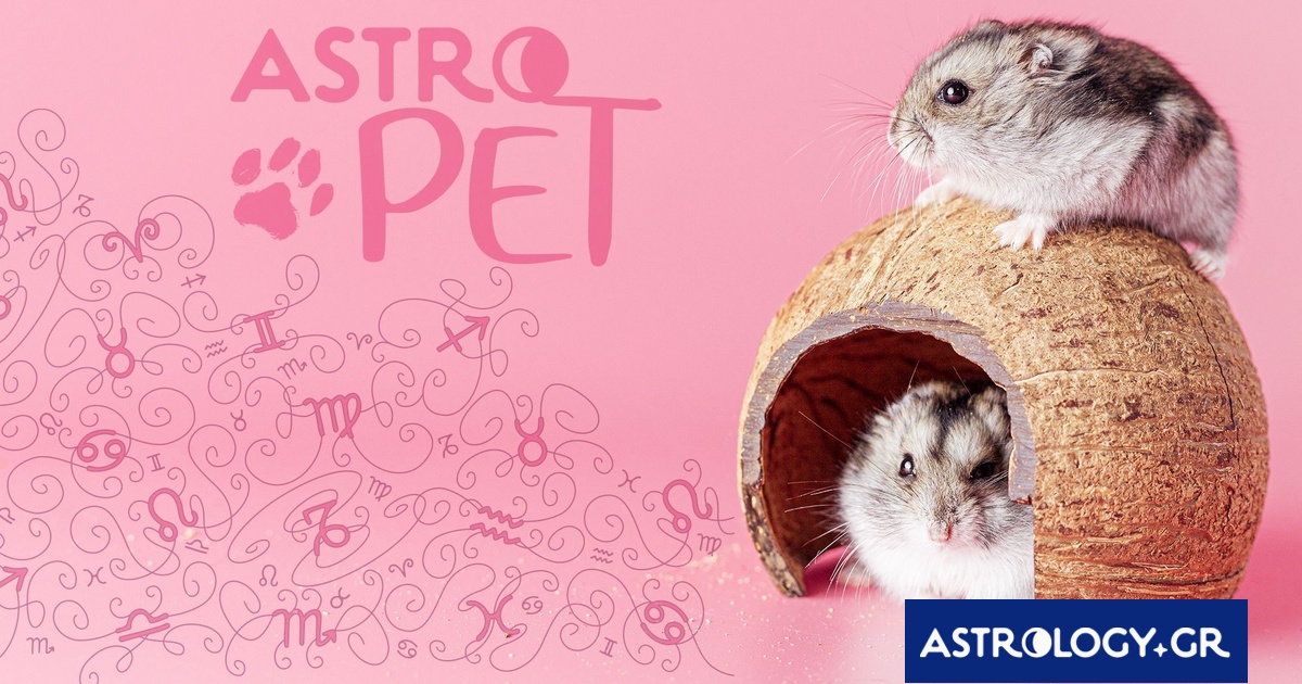 AstroPet από 18/11 έως 24/11: Εβδομαδιαίες προβλέψεις για το κατοικίδιό ...